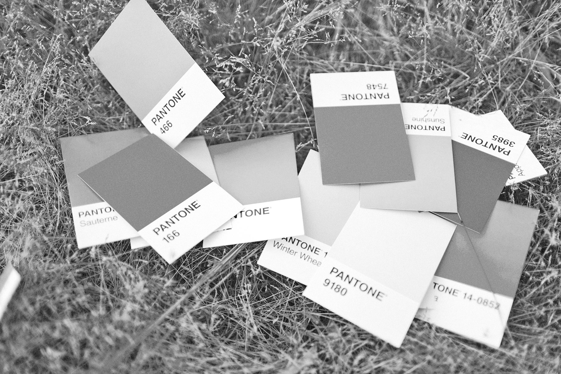 A Brief History of the Pantone Color of the Year — History Facts