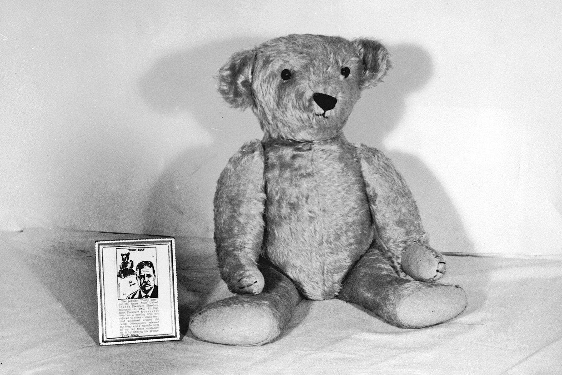The Origins of the Beloved Teddy Bear — History Facts
