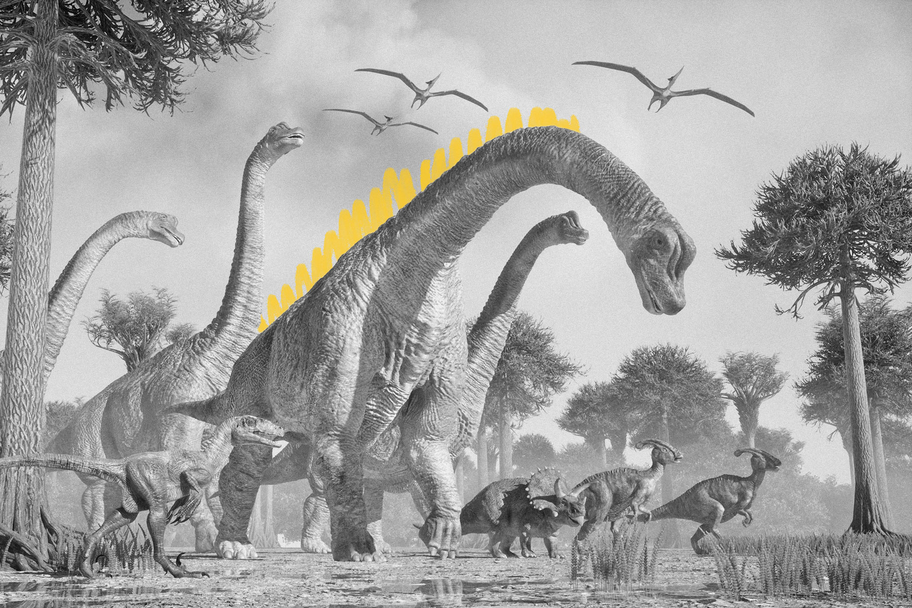 Dinosaurs were alive longer than they’ve been extinct. — History Facts